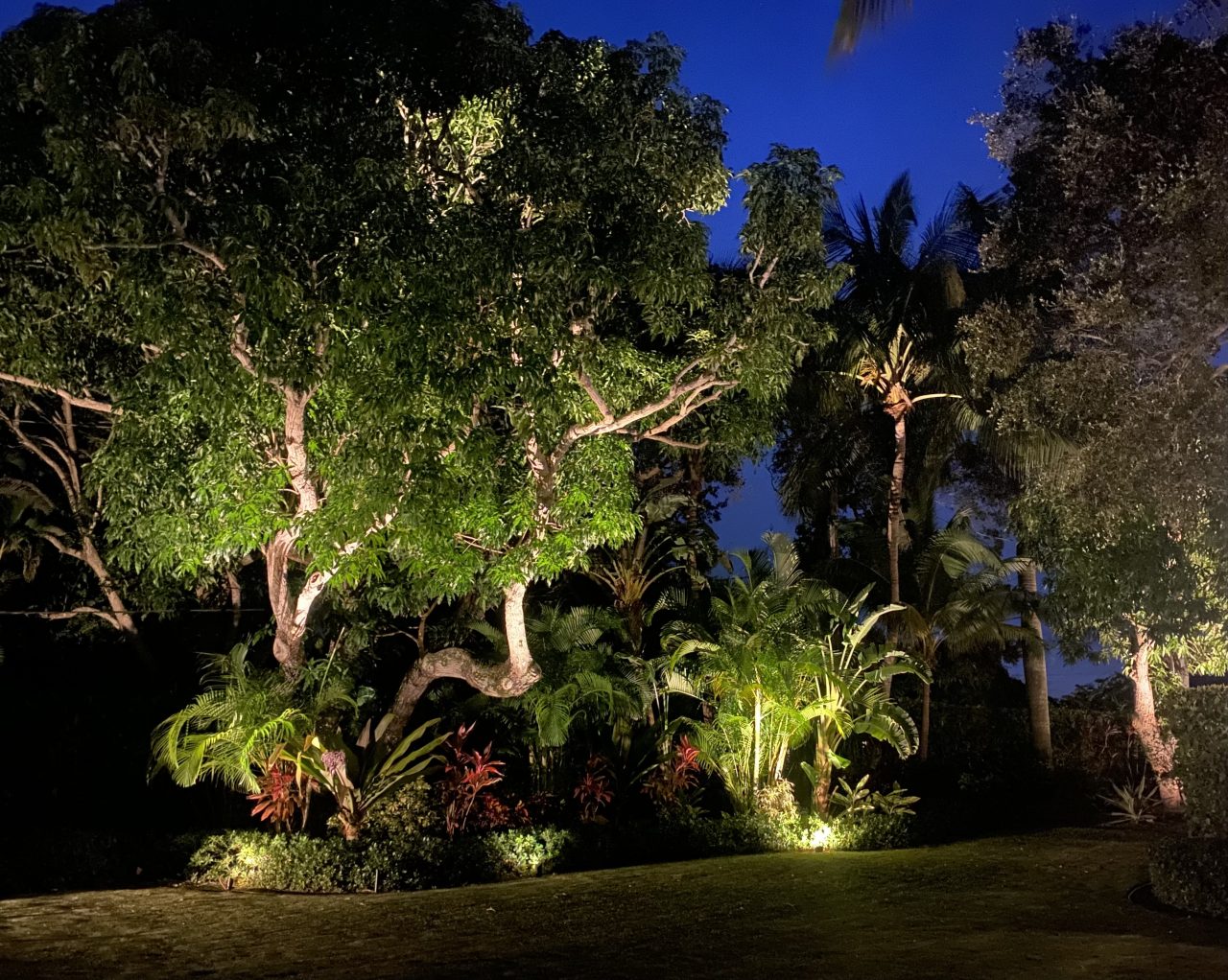 Landscape Lighting Installation – Jupiter | PB Lighting, LLC